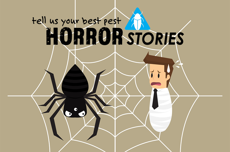 November Pest Horror Stories - Northpest Pest Control Specialists ...