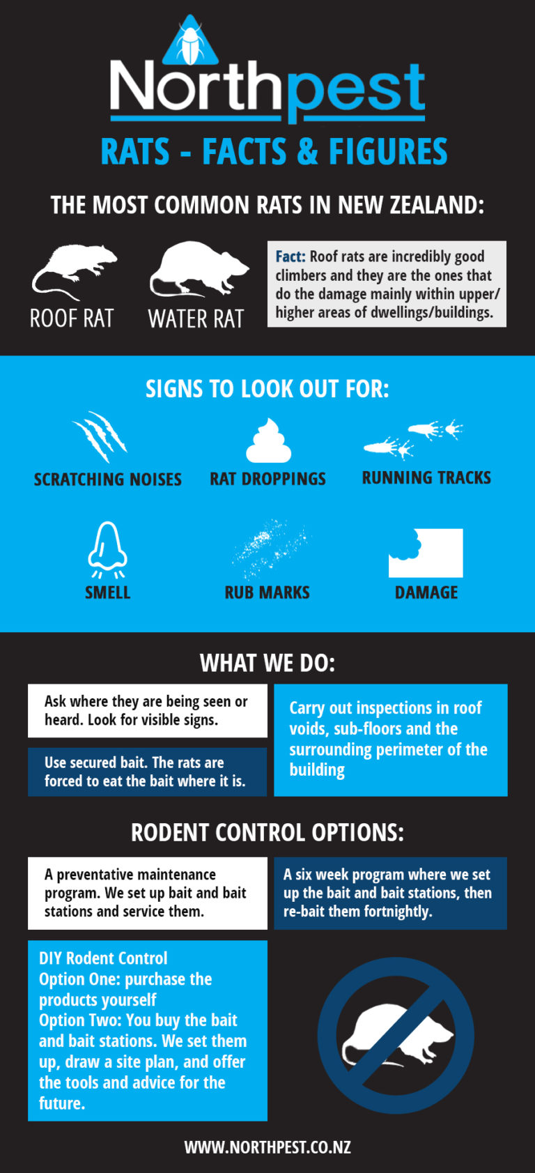 New Zealand Rats - Facts & Figures - Northpest Pest Control Specialists ...