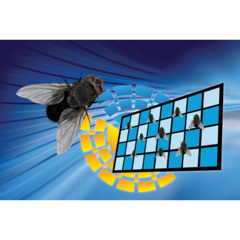 Falcon LED Glueboards - Northpest Pest Control Specialists Whangarei ...